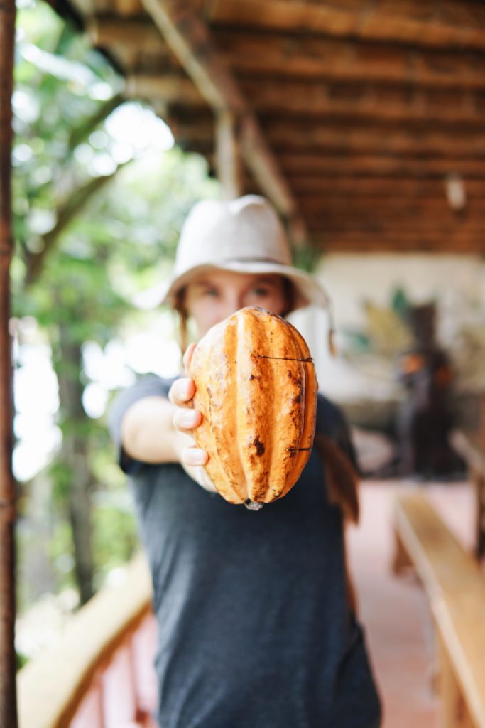 Learn Everything About Chocolate in Mindo, Ecuador - That One Adventure ...