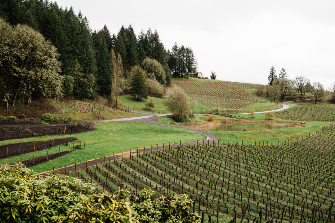 Ultimate Oregon Road Trip Through Willamette Valley - That One ...