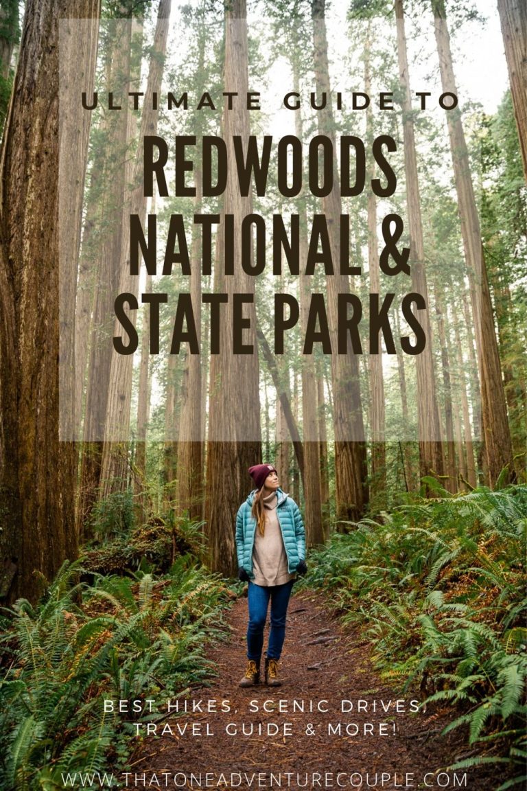 Ultimate Guide To Exploring The Redwoods National and State Parks ...